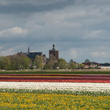 lekker lang leuk - Workum.nl