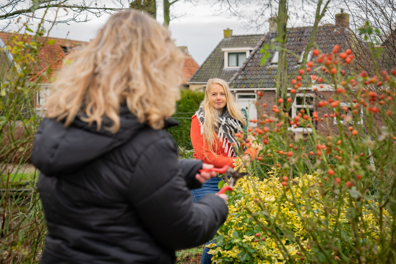 Tuin vergroenen? Boom erbij van de gemeente - Workum.nl